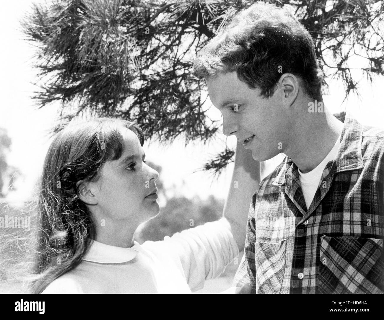 SONS AND DAUGHTERS, from left: Glynnis O'Connor, Gary Frank in 'The ...