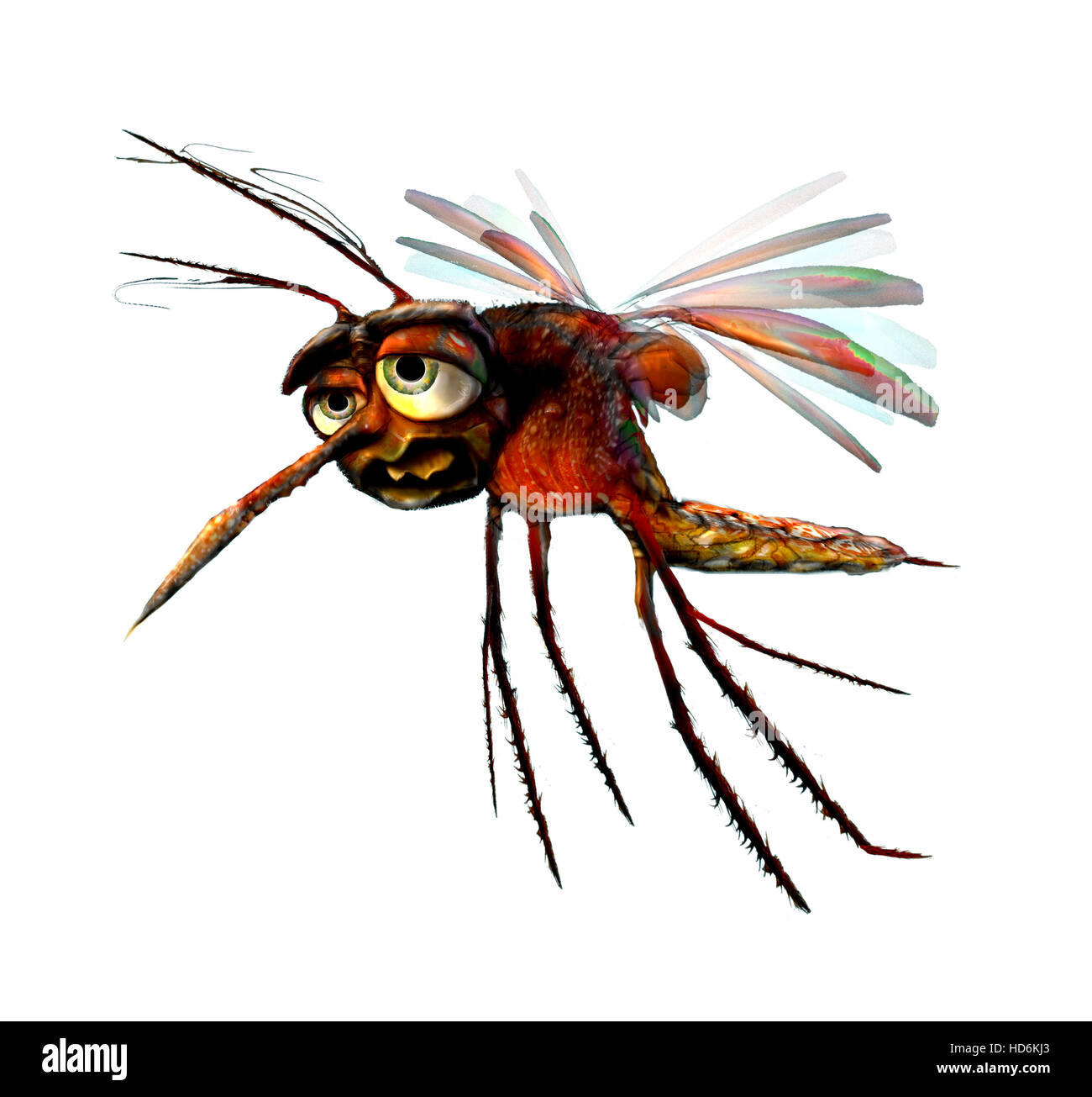 Full insect Cut Out Stock Images & Pictures - Alamy