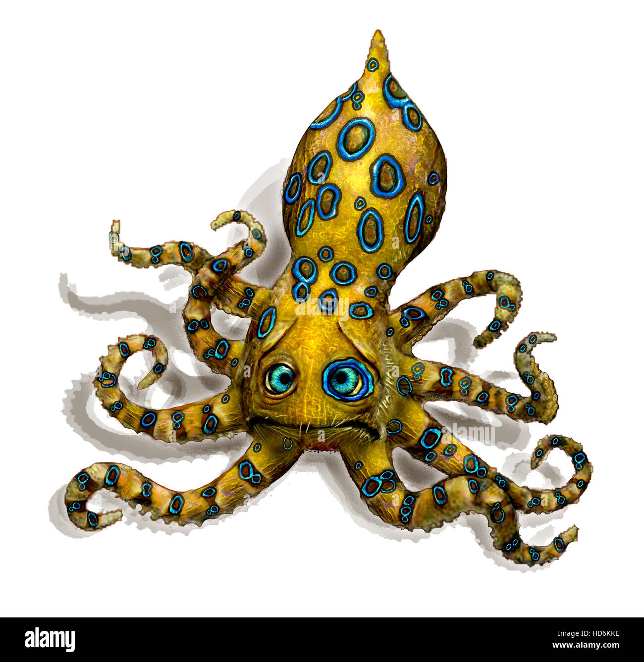 Blue and white colour theme hi-res stock photography and images - Alamy