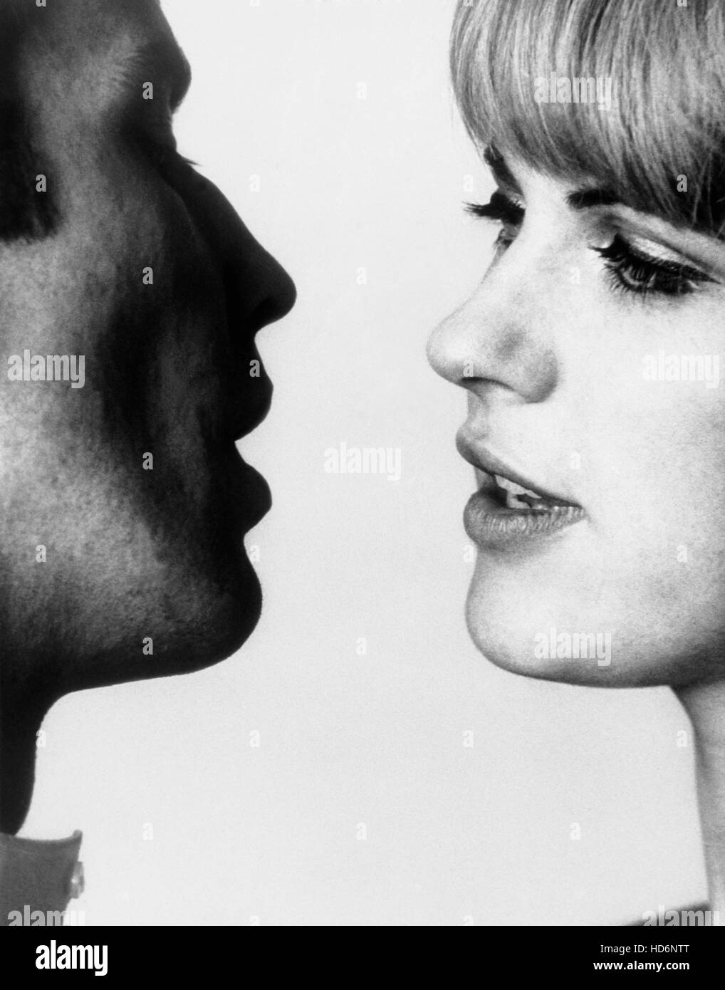 BARTOK, (aka MONITOR: BARTOK), 1964 Stock Photo - Alamy