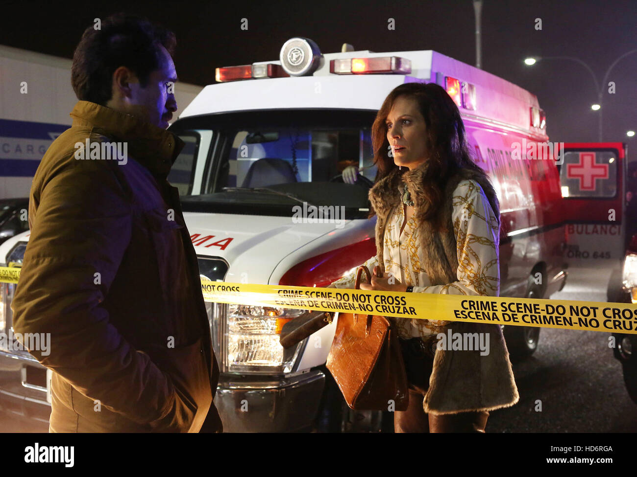 THE BRIDGE, (from left): Demian Bichir, Annabeth Gish, 'Pilot', (Season ...