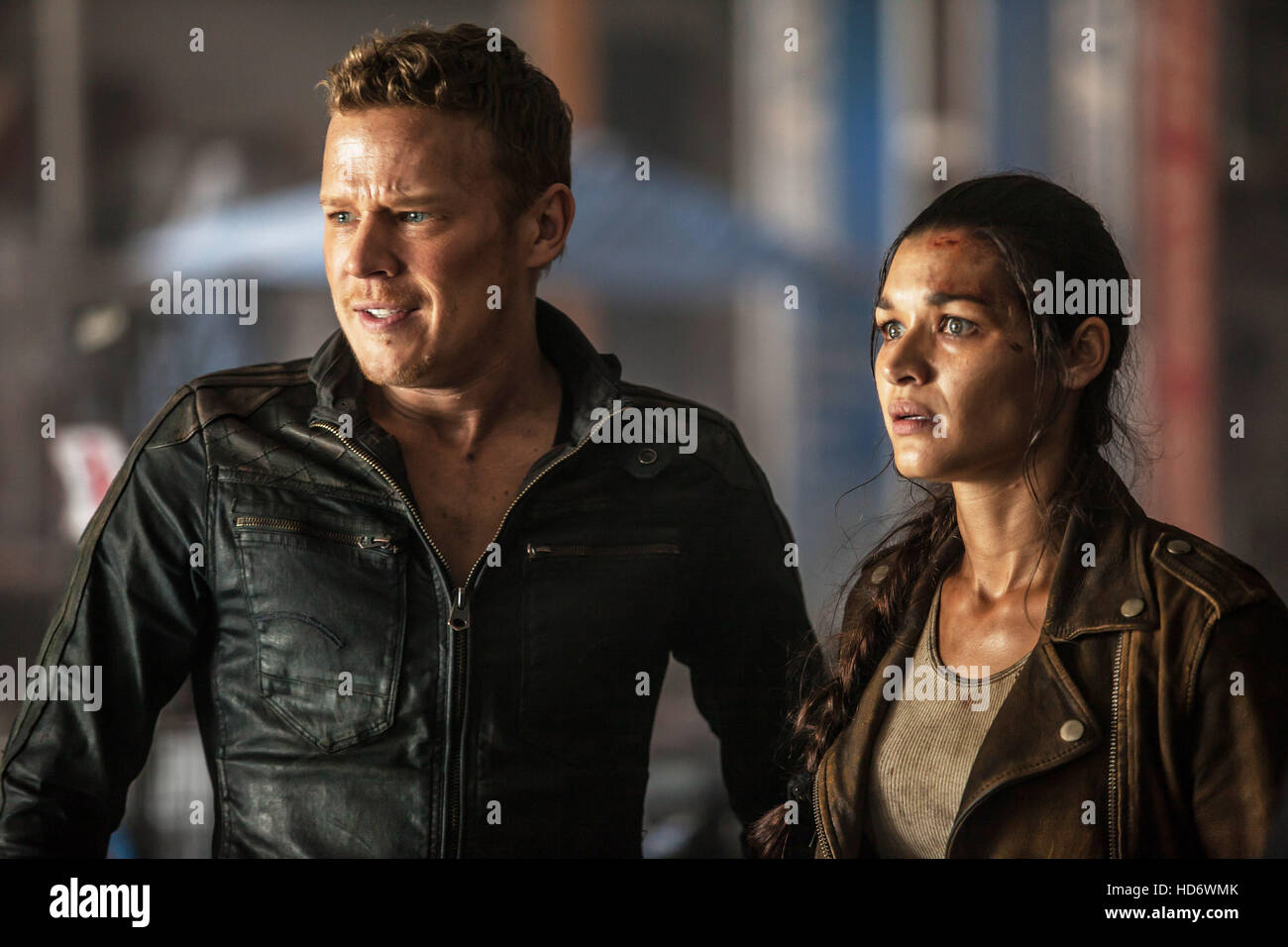 Kim Engelbrecht Dominion