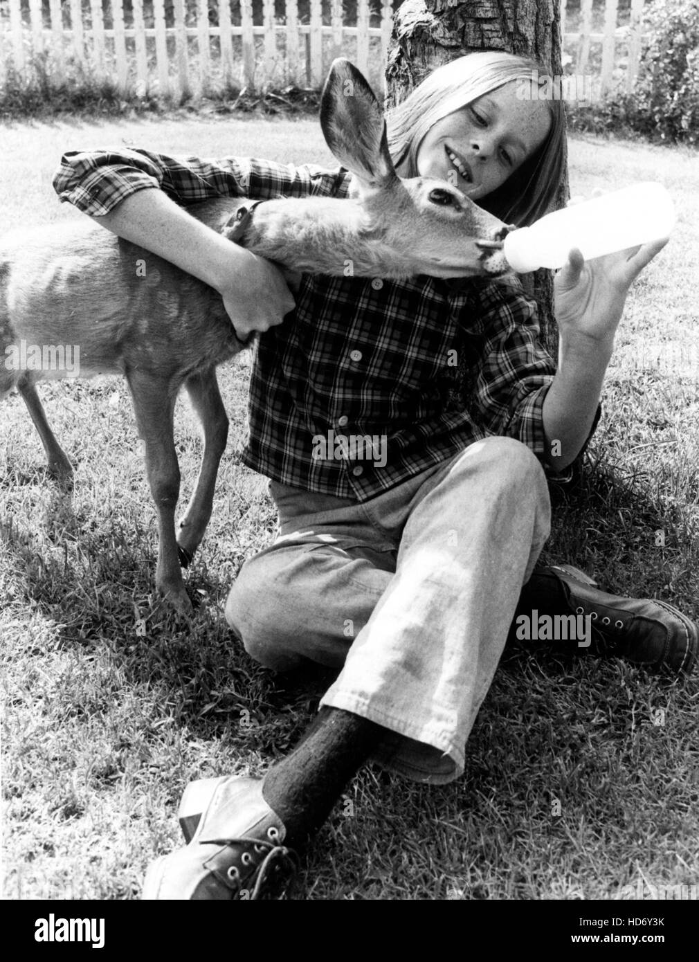 THE WALTONS, Mary Beth McDonough, (Ep: 'The Fawn,' 11/8/1973 Stock ...