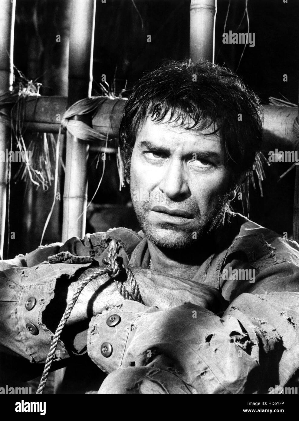 WELCOME HOME, JOHNNY BRISTOL, Martin Landau, 1972 Stock Photo - Alamy