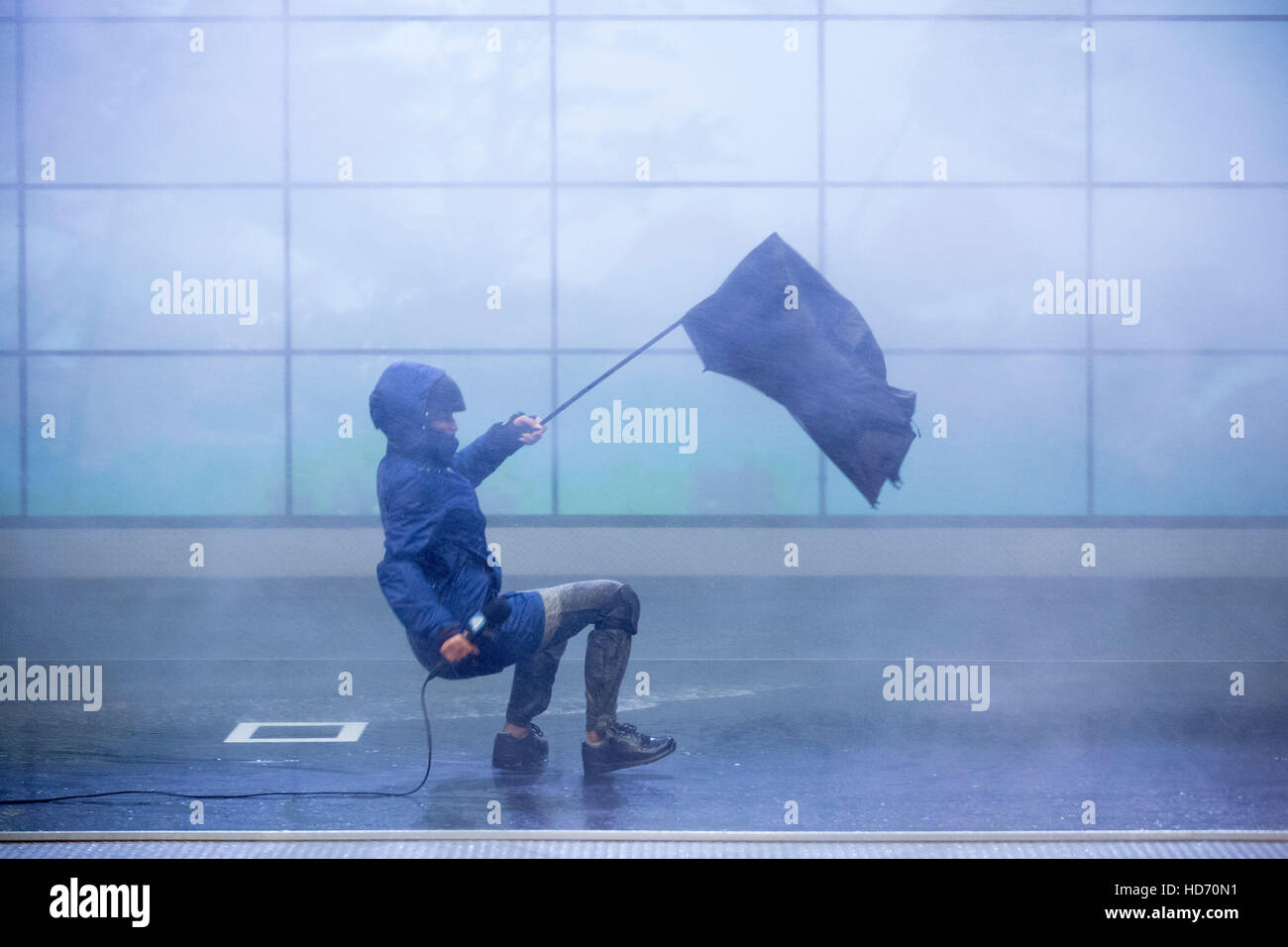 AMERICA'S NEXT WEATHERMAN (aka FUNNY OR DIE PRESENTS AMERICA'S NEXT ...