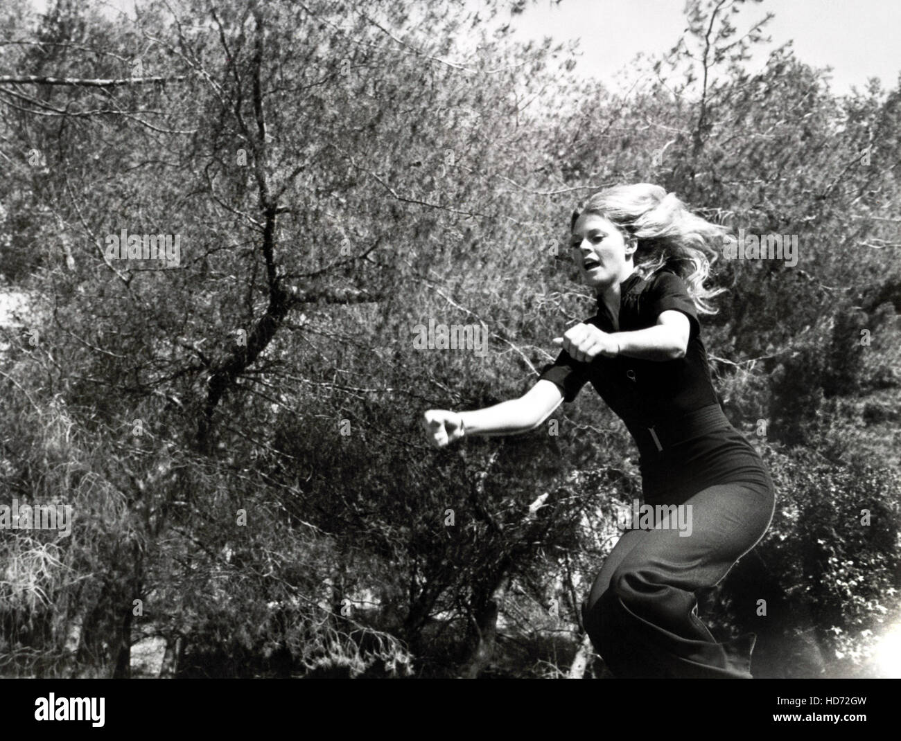 THE BIONIC WOMAN, Lindsay Wagner, 1976-78 Stock Photo - Alamy