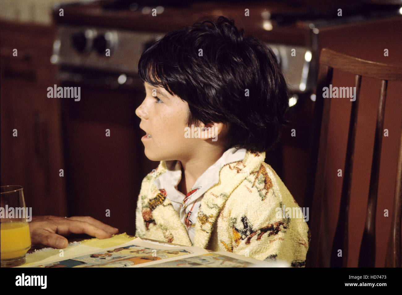 THE COURTSHIP OF EDDIE'S FATHER, Brandon Cruz, 1969-1972 Stock Photo ...