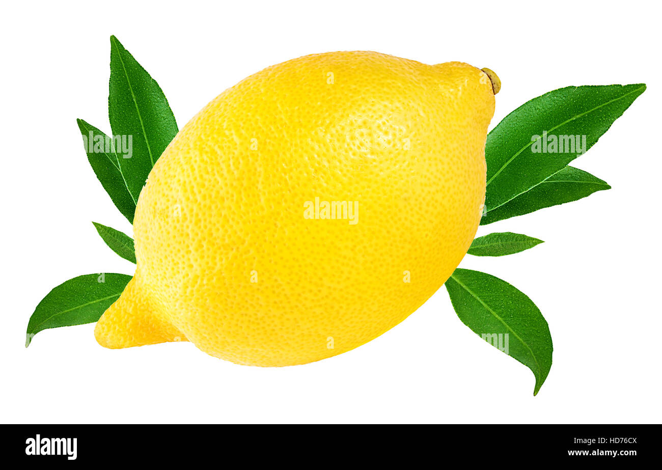 lemon isolated on white background Stock Photo - Alamy