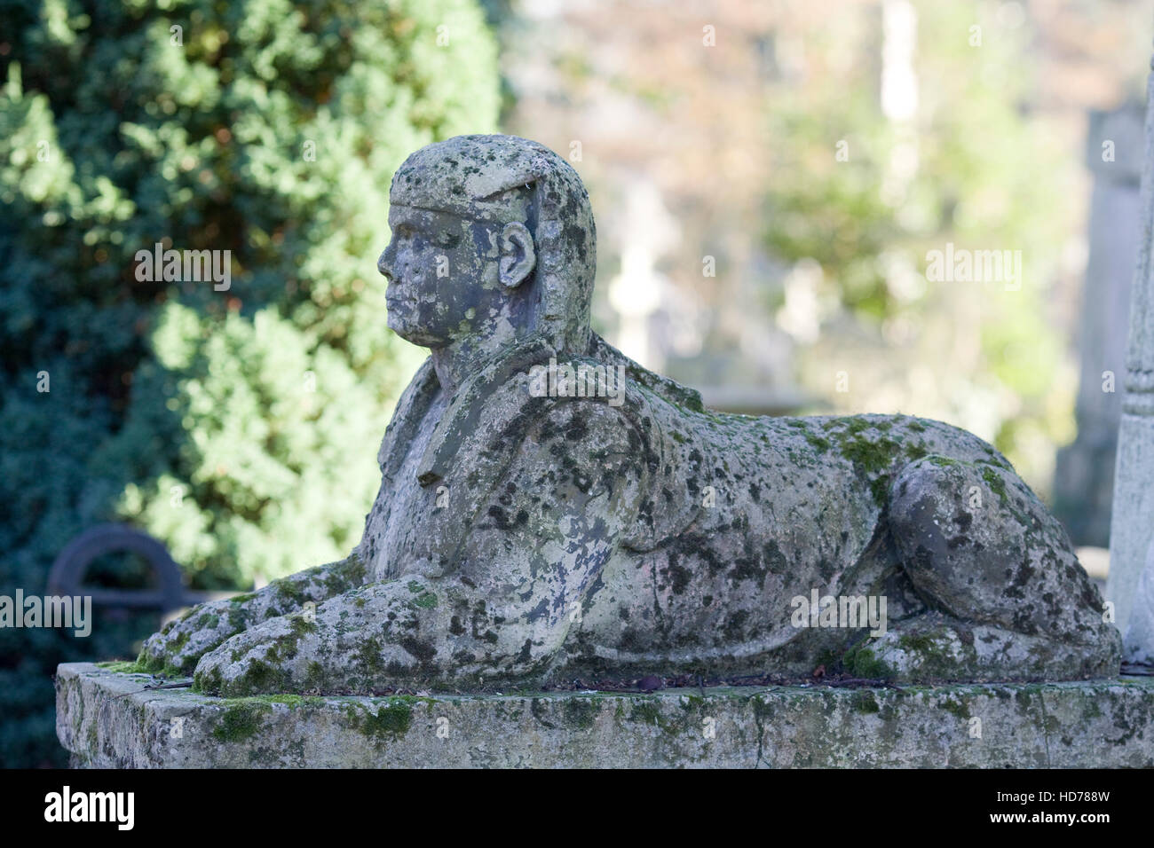 Statue of the Sphinx on a grave Stock Photo - Alamy