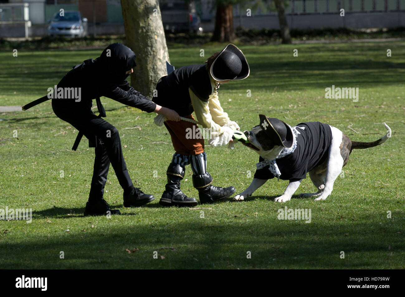 THE KILLING, (from left): Evan Bird, Seth Isaac Johnson, 'Bulldog ...