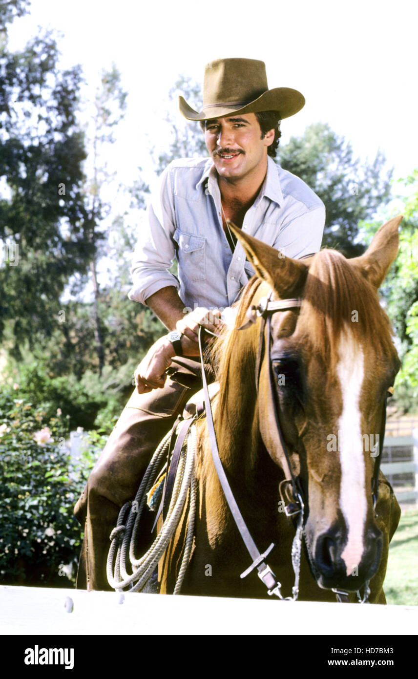 MATT HOUSTON, Lee Horsley, (Season 1), 1982-85. © Aaron Spelling ...