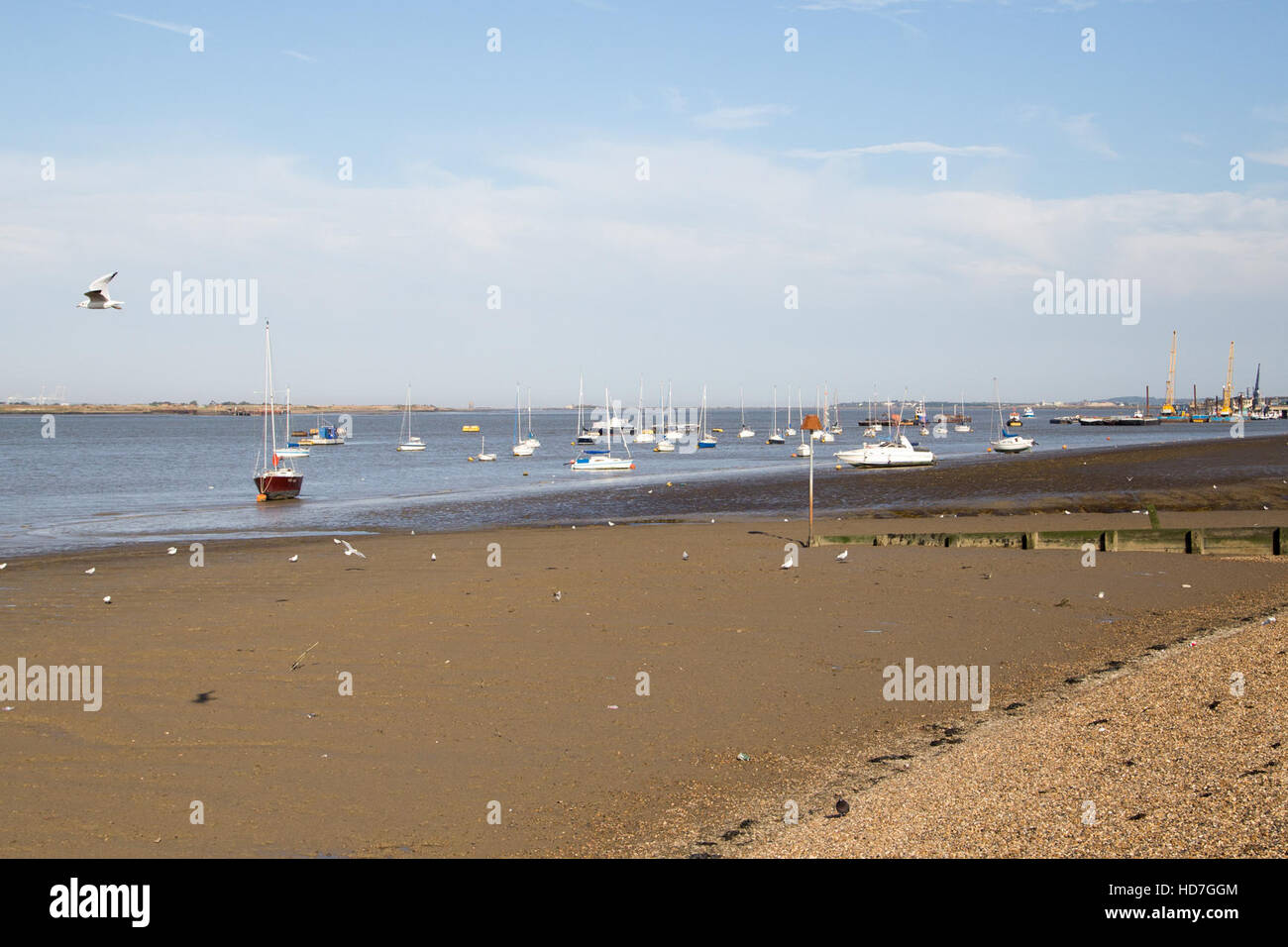 The sun shines down on Gravesend Promenade this afternoon where the ...