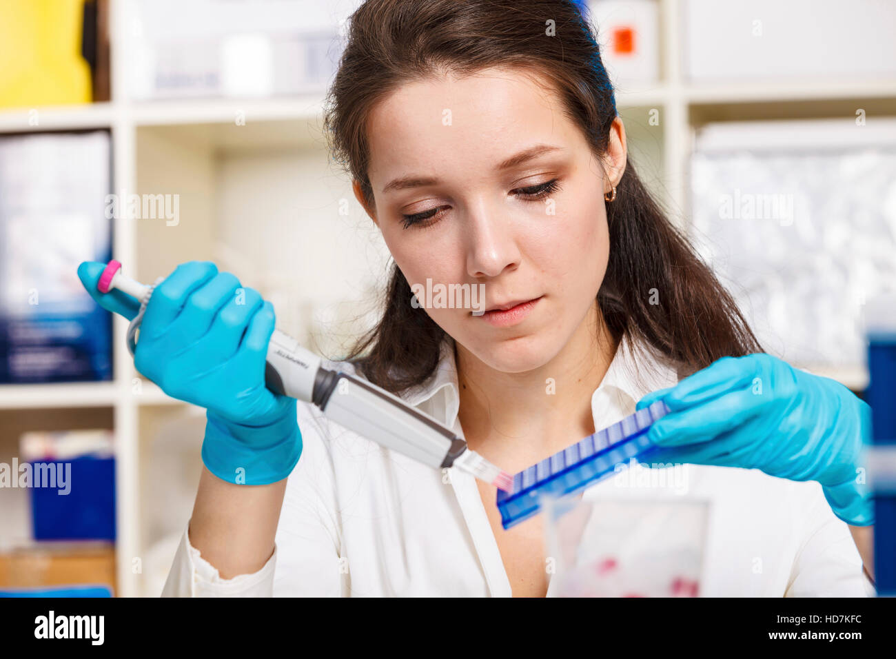 MODEL RELEASED. Woman working in microbiology laboratory Stock Photo ...