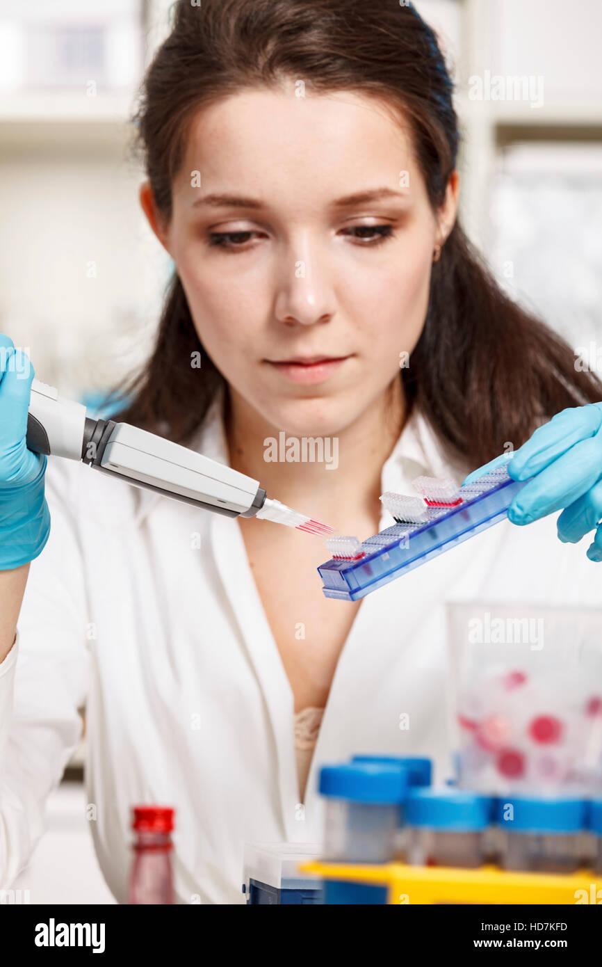 MODEL RELEASED. Woman working in microbiology laboratory Stock Photo ...