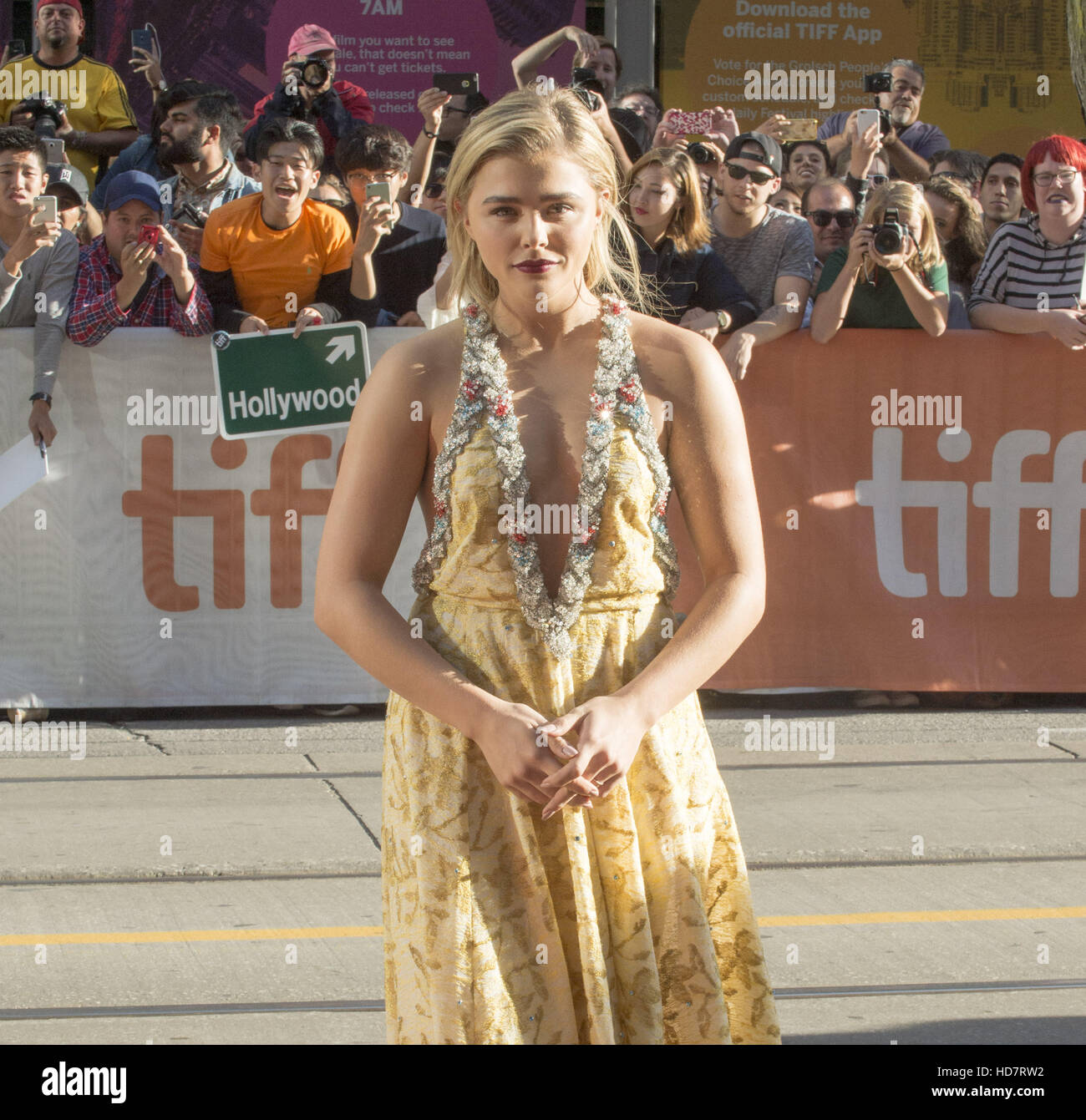 Celebrities attends the premiere for "Brain on Fire" for the annual ...