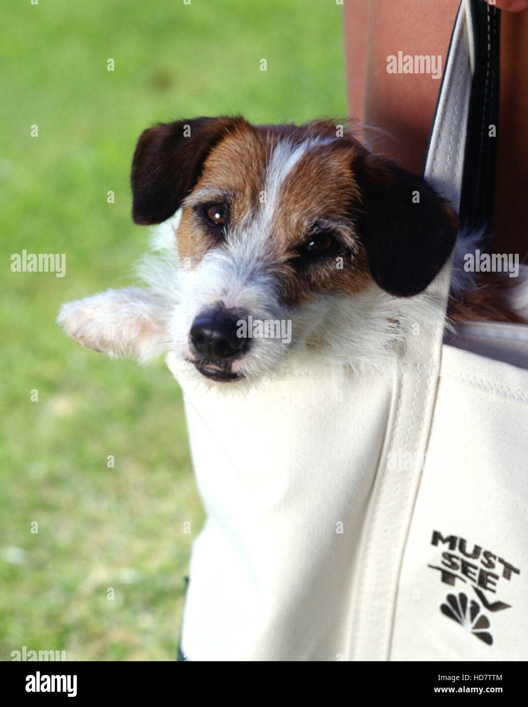 FRASIER, Moose the dog, Season 2, 1993-2004, (c)Paramount Television ...