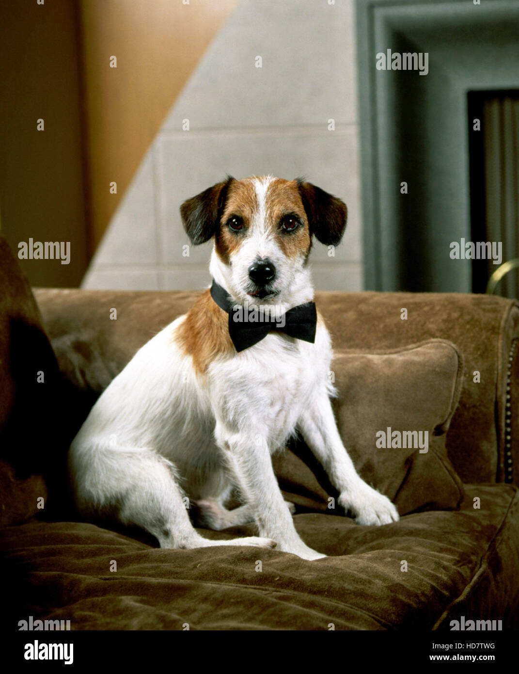 FRASIER, Moose the dog, (1998-Season 5), 1993-2004, (c)Paramount ...