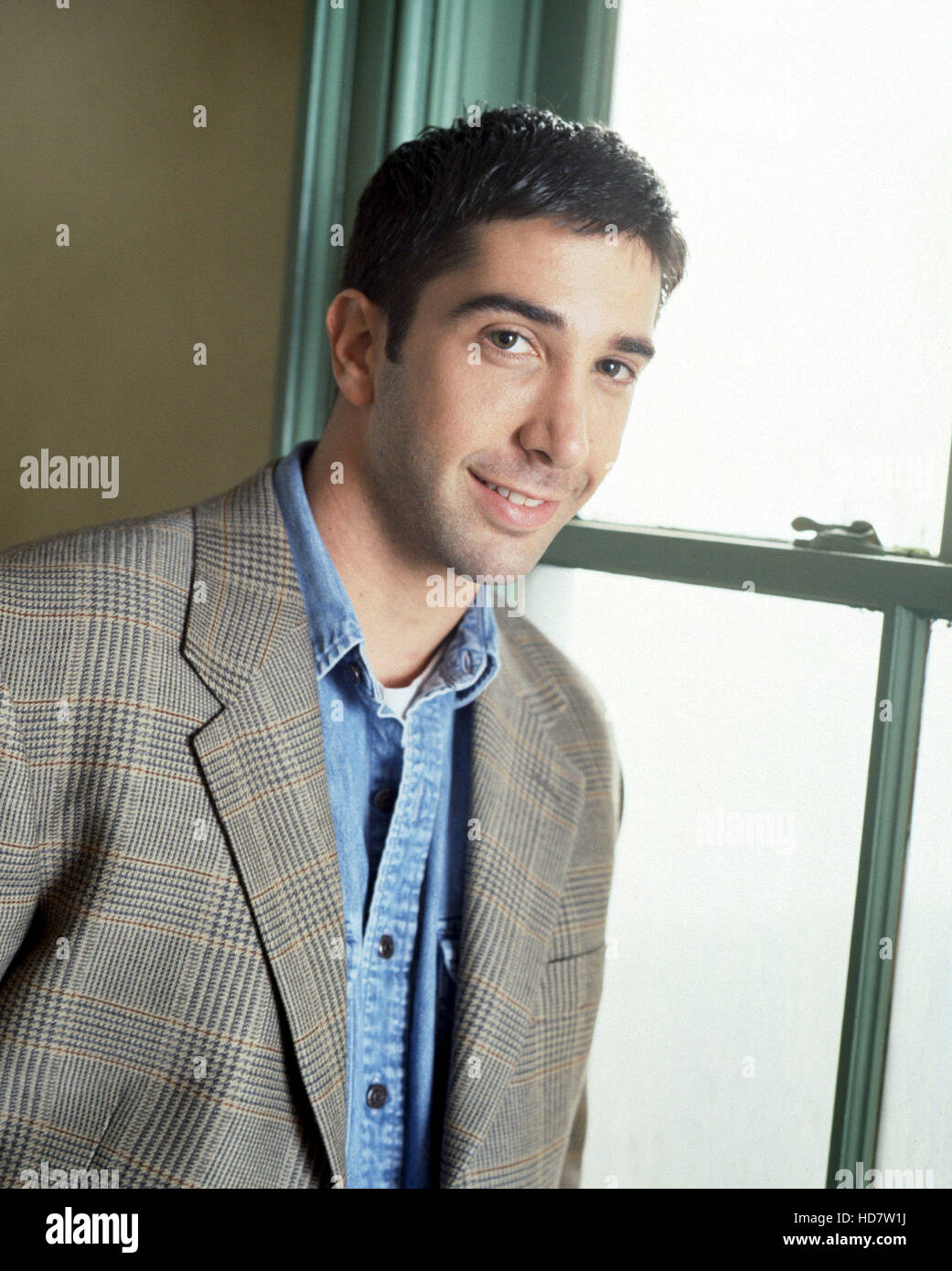FRIENDS, David Schwimmer, (Season 1), 1994-2004, (c)Warner Bros ...