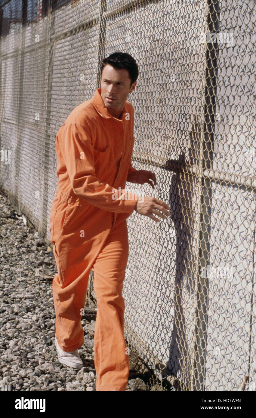 THE FUGITIVE, Tim Daly, 2000-01 Stock Photo - Alamy