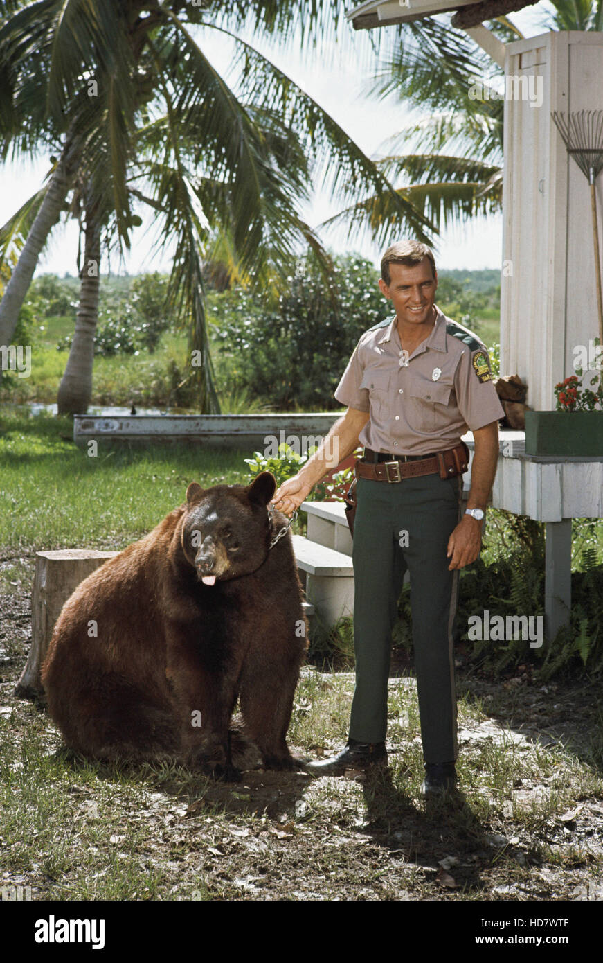 GENTLE BEN, l-r: Gentle Ben, Dennis Weaver, (Season 1), 1967-69 Stock ...