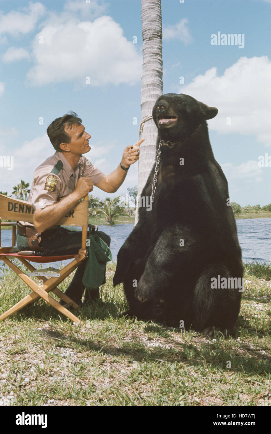 GENTLE BEN, (from left): Dennis Weaver, Gentle Ben on-set, (Season 2 ...