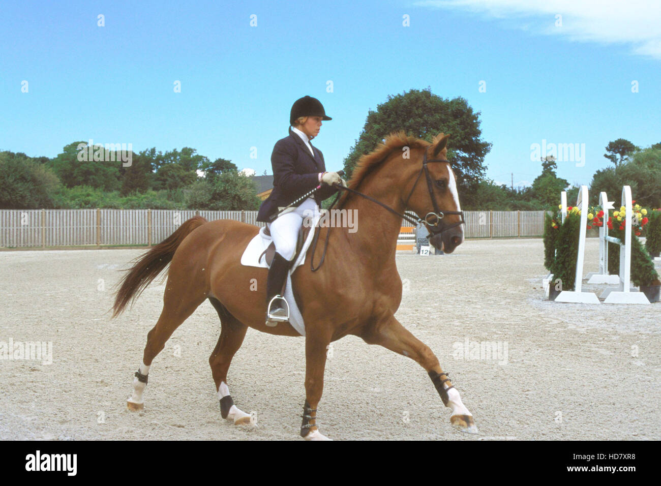 HAMPTONS PROJECT, 2002 Stock Photo - Alamy