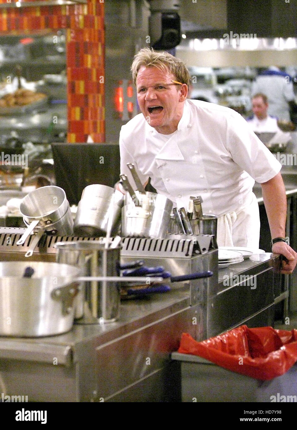 HELL'S KITCHEN, Chef Gordon Ramsay, (Season 4, Episode 4, aired April ...