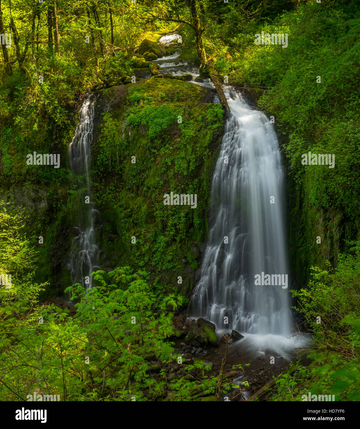 Upper McChord Falls above Elowah Falls in the Columbia Gorge Stock ...