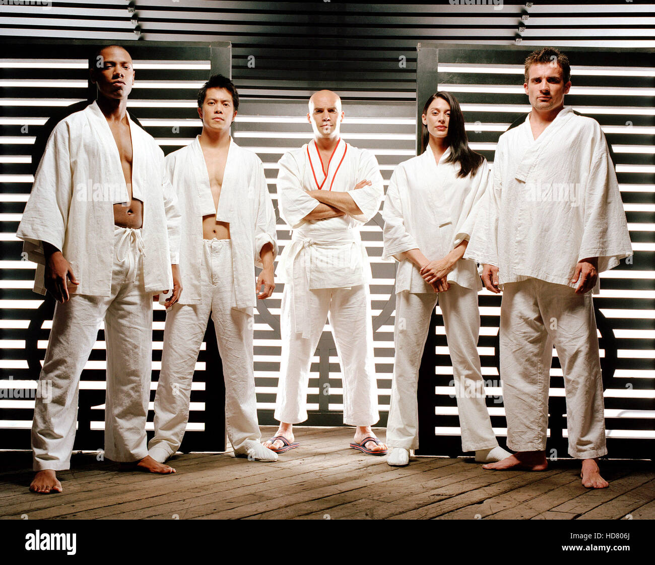 INVINCIBLE, Tory Kittles, Byron Mann, Billy Zane, Stacy Oversier ...