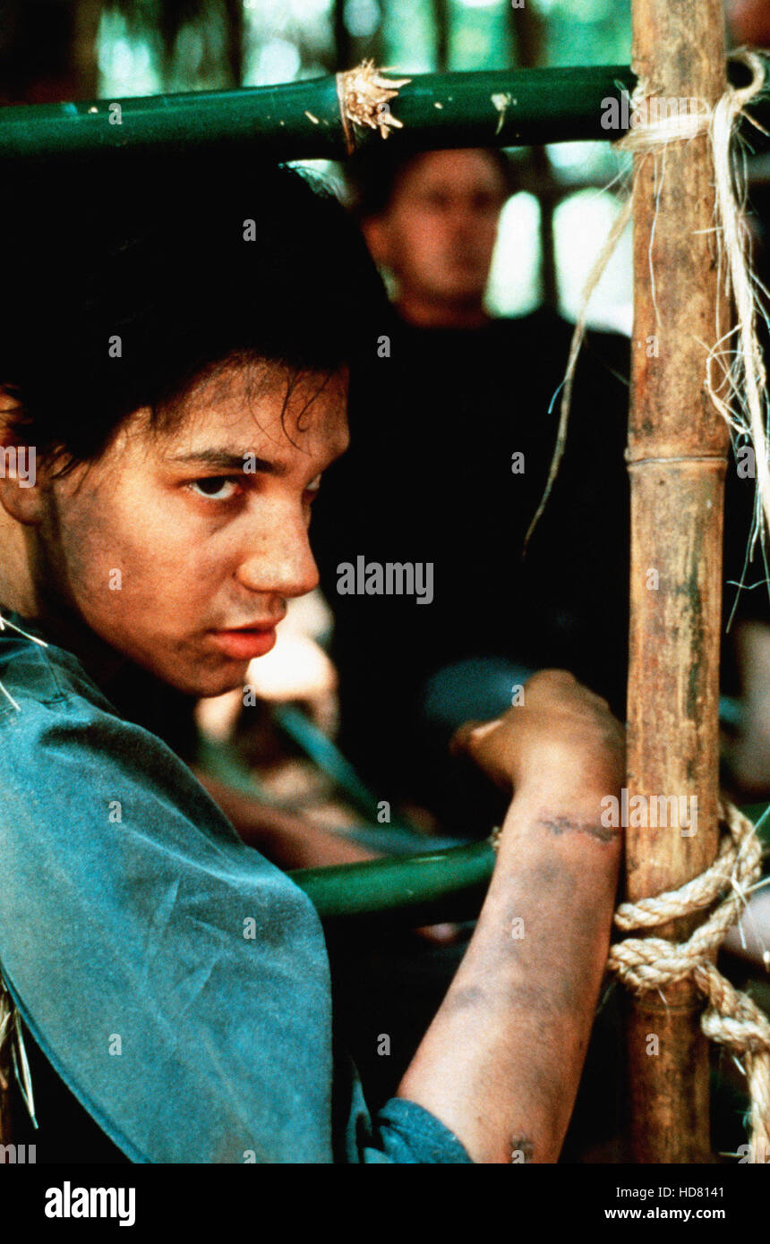 THE LAST P.O.W.? THE BOBBY GARWOOD STORY, (aka GARWOOD: PRISONER OF WAR ...