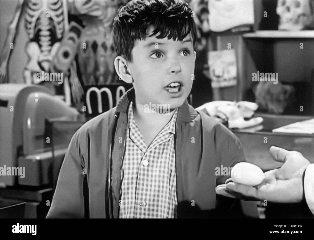 LEAVE IT TO BEAVER, Jerry Mathers, 'Beaver The Magician', (Season 3 ...