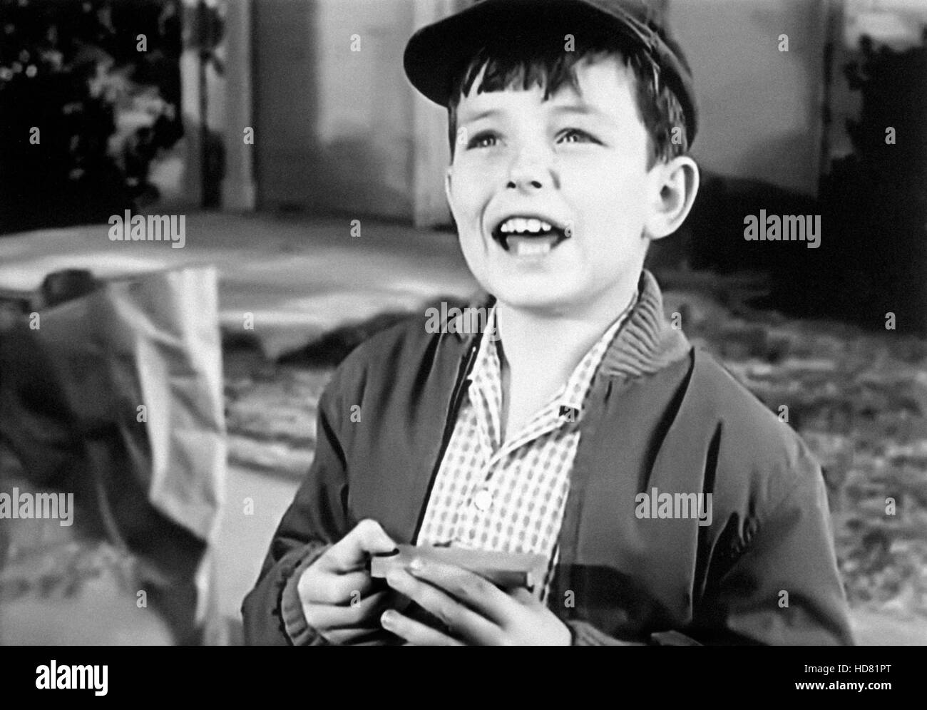 Why Was Jerry Mathers Called Beaver at Lynn Sparks blog