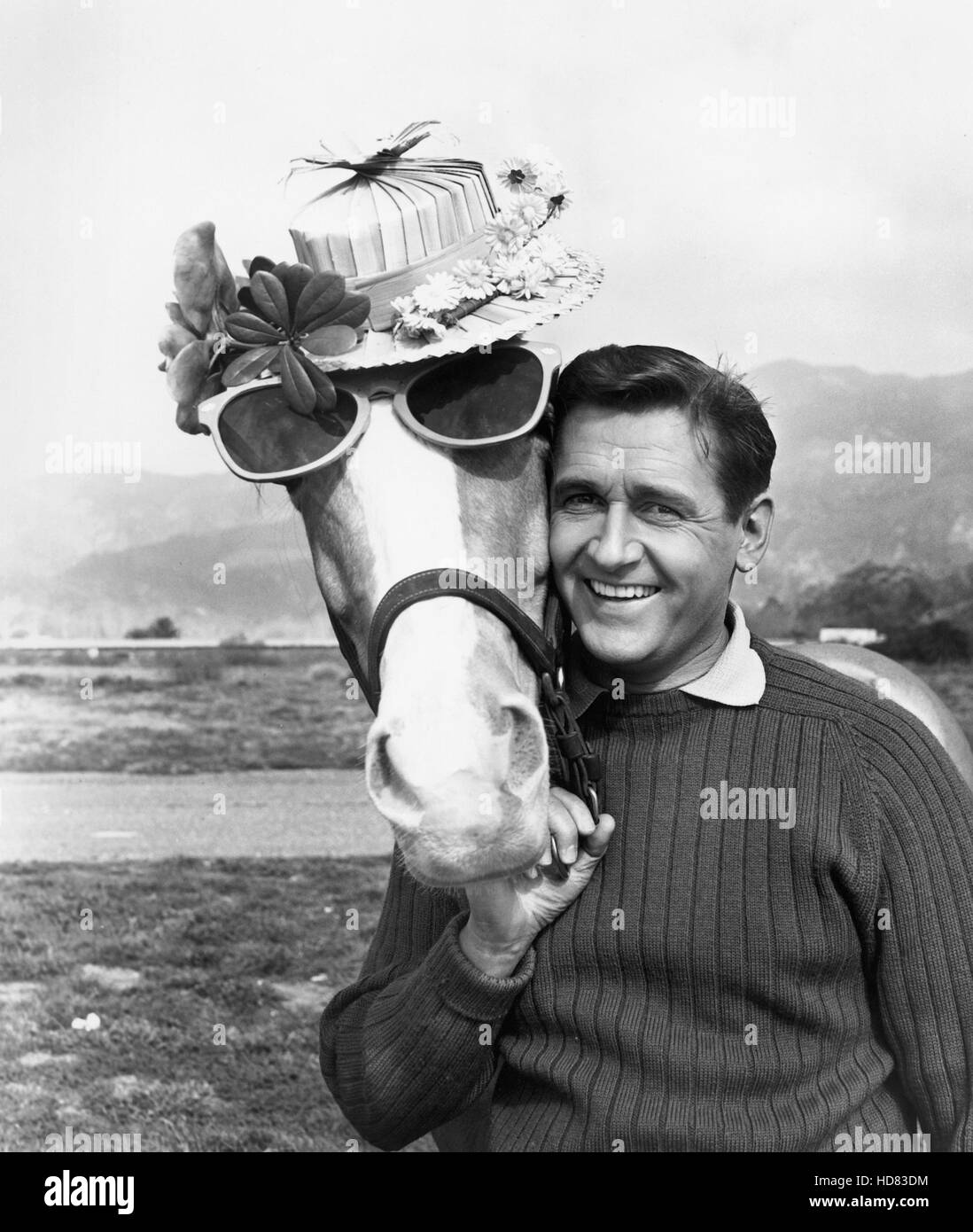 MR. ED, Mr. Ed, Alan Young, (CBS, 1961 - 1966 Stock Photo - Alamy