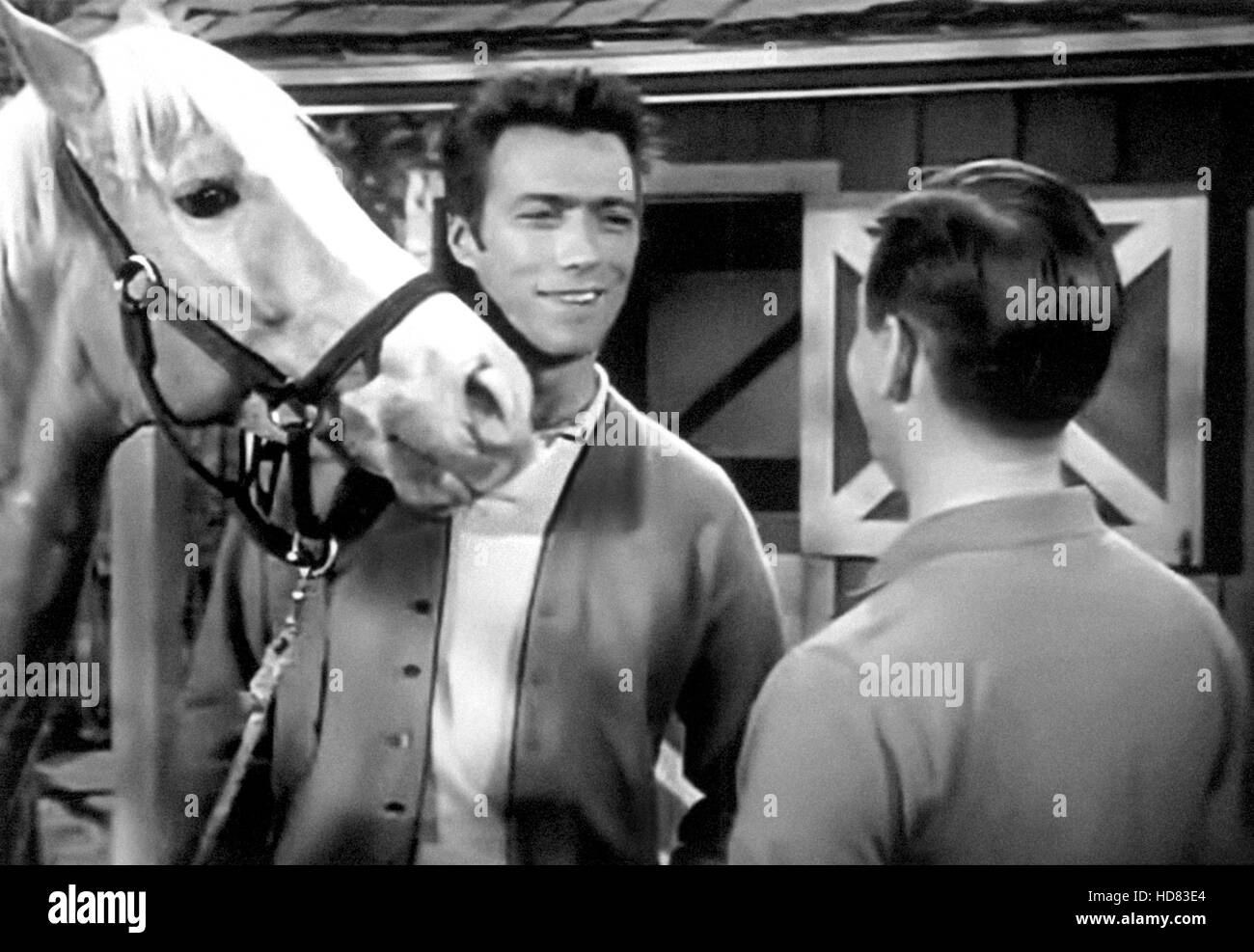 MR. ED, (from left): Mr. Ed, Clint Eastwood, Alan Young, 'Clint ...