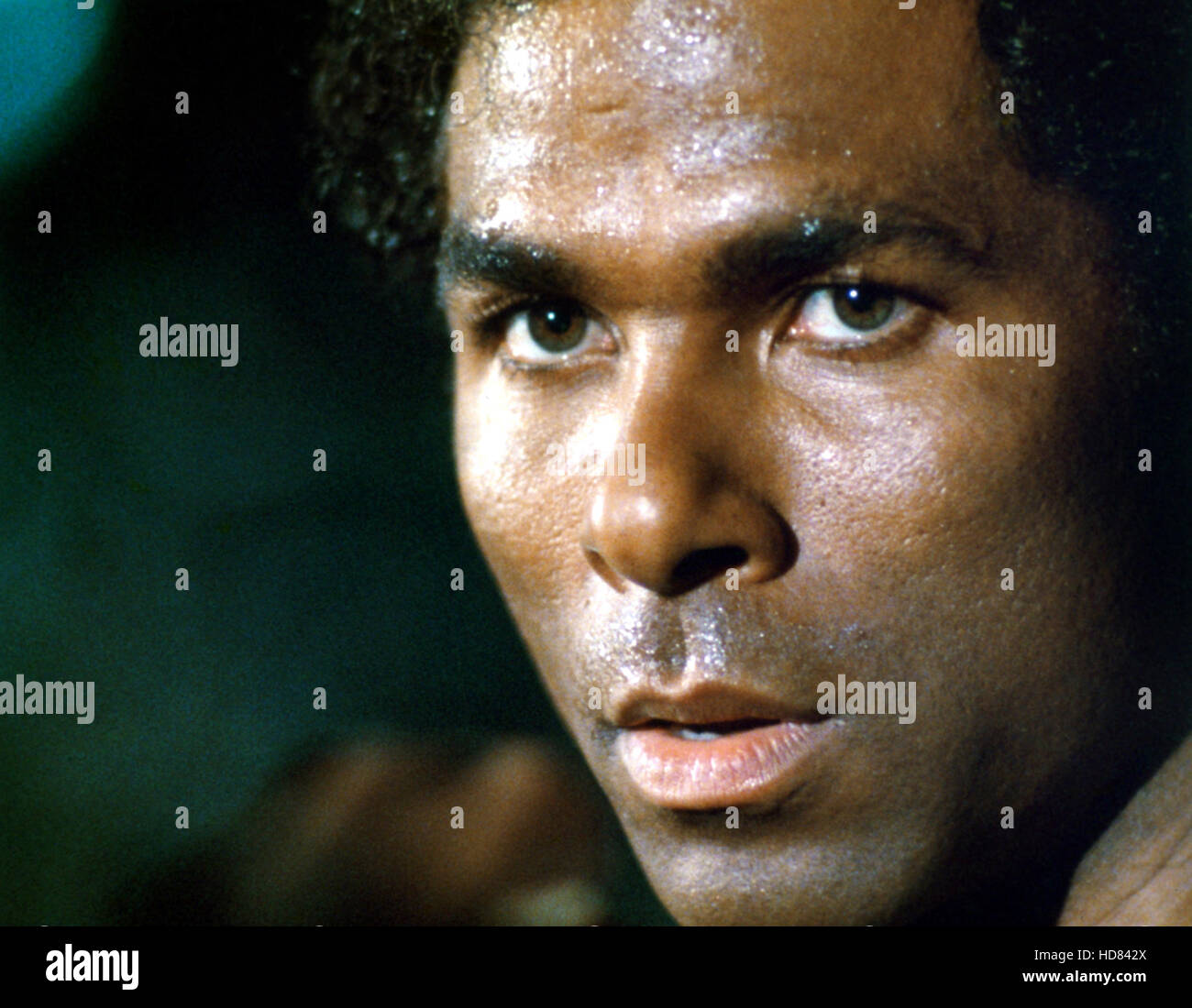 MIAMI VICE, Philip Michael Thomas, (Season 1), 1984-1989, © Universal ...