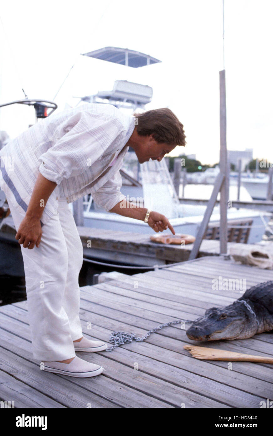 MIAMI VICE, Don Johnson, 1984-1989. (c) Ray Fairall/ Courtesy: Everett ...