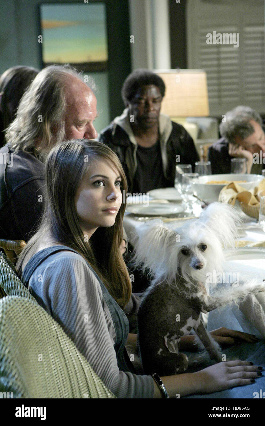 THE O.C., Willa Holland, 'The Cold Turkey', (Season 4, aired Nov. 9 ...