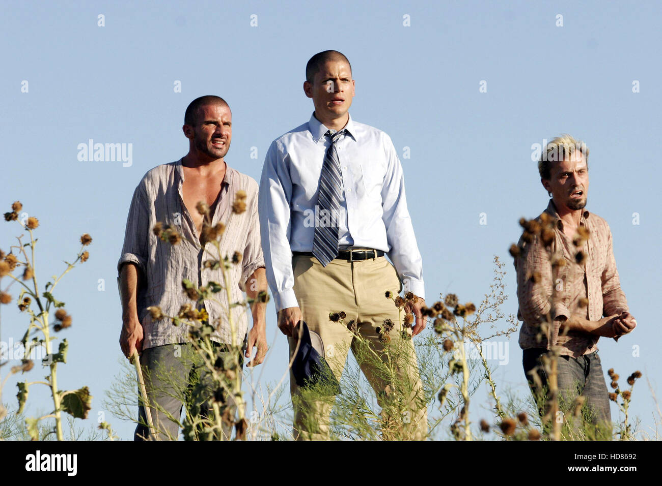 PRISON BREAK, Dominic Purcell, Wentworth Miller, Robert Knepper, 'Map ...