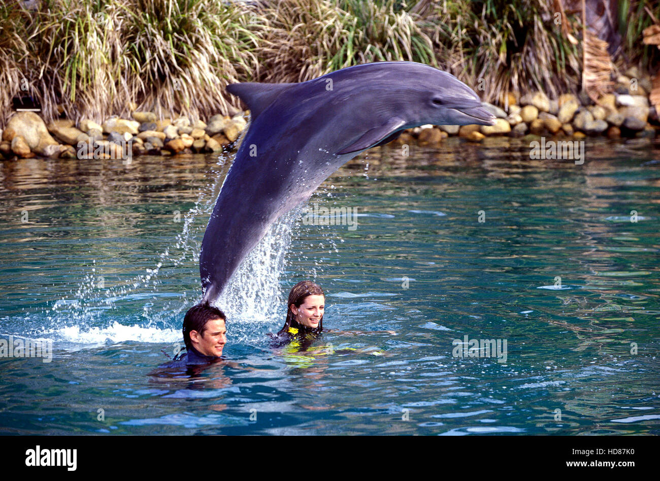 A RING OF ENDLESS LIGHT, Jared Padalecki, Mischa Barton, 2002, (c ...