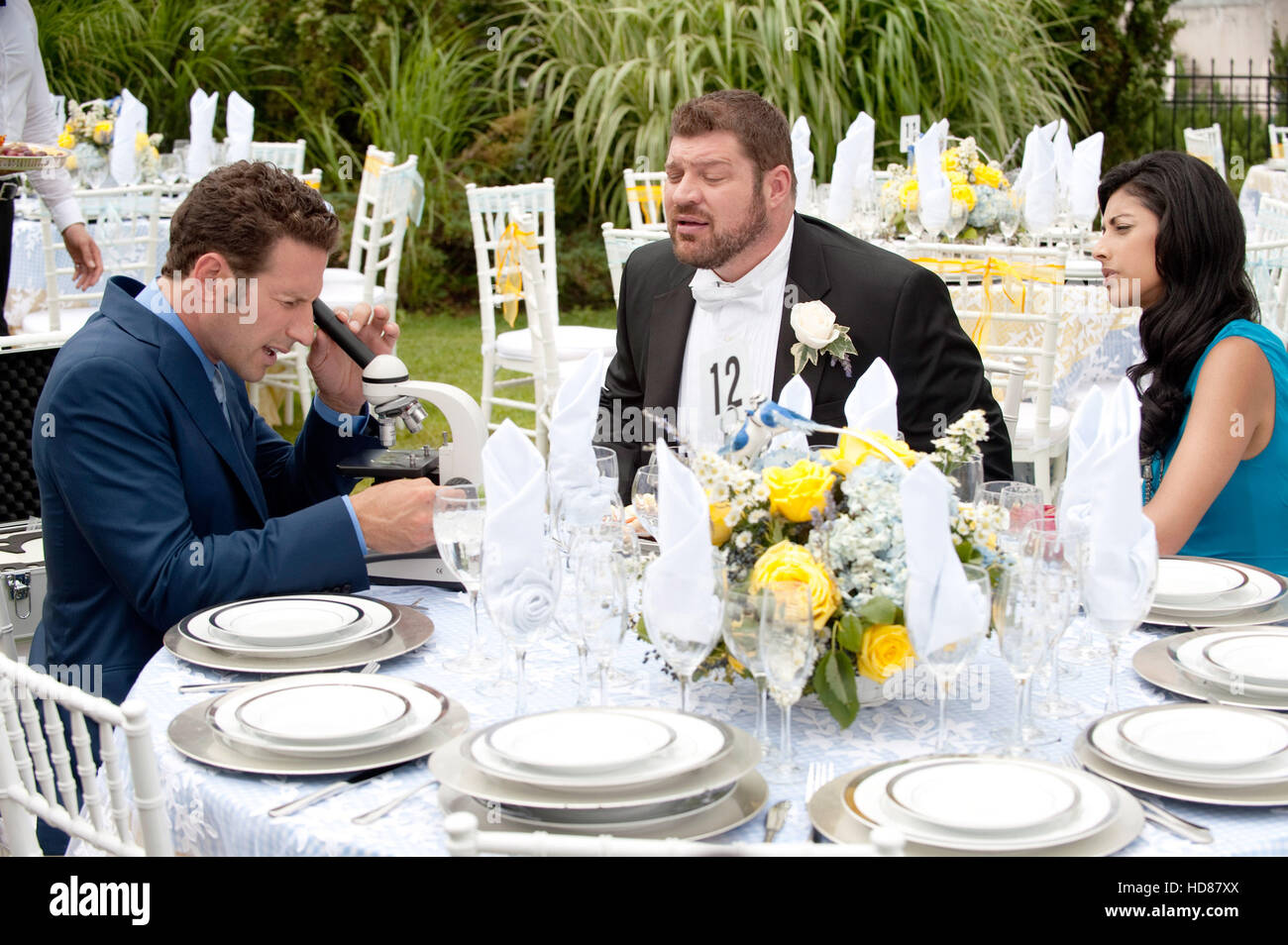 ROYAL PAINS, (from left): Mark Feuerstein, Brad William Henke, Reshma ...