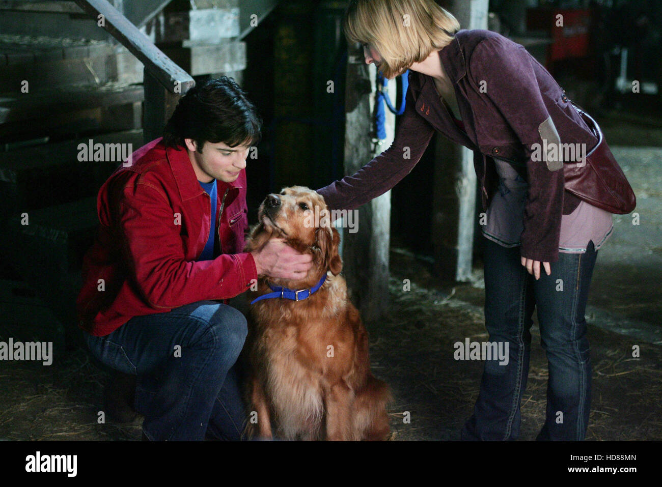 SMALLVILLE, Tom Welling, Bud the dog, Allison Mack, 'Labyrinth ...