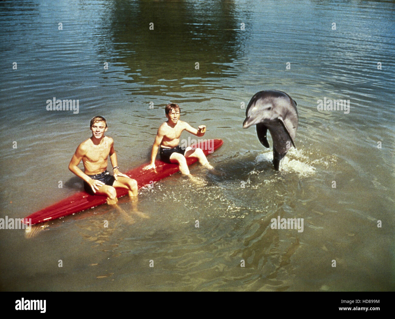 FLIPPER, Luke Halpin, Tommy Norden, Flipper, 1964-1968 Stock Photo - Alamy