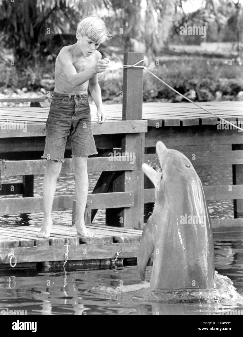 FLIPPER, (from left): Luke Halpin, Flipper, 1964-68 Stock Photo - Alamy