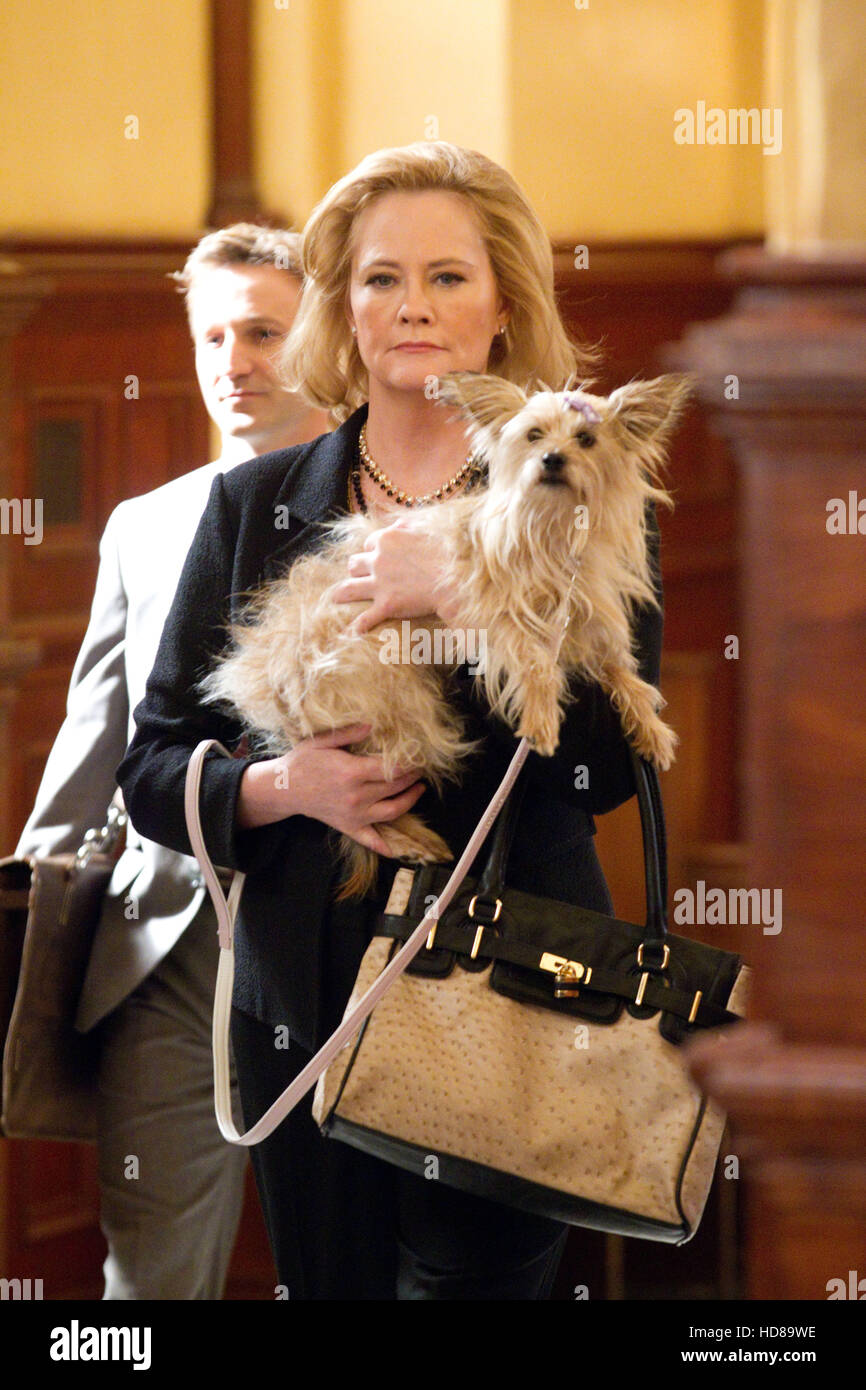 FRANKLIN AND BASH, (from left): Breckin Meyer, Cybill Shepherd, 'Jango ...