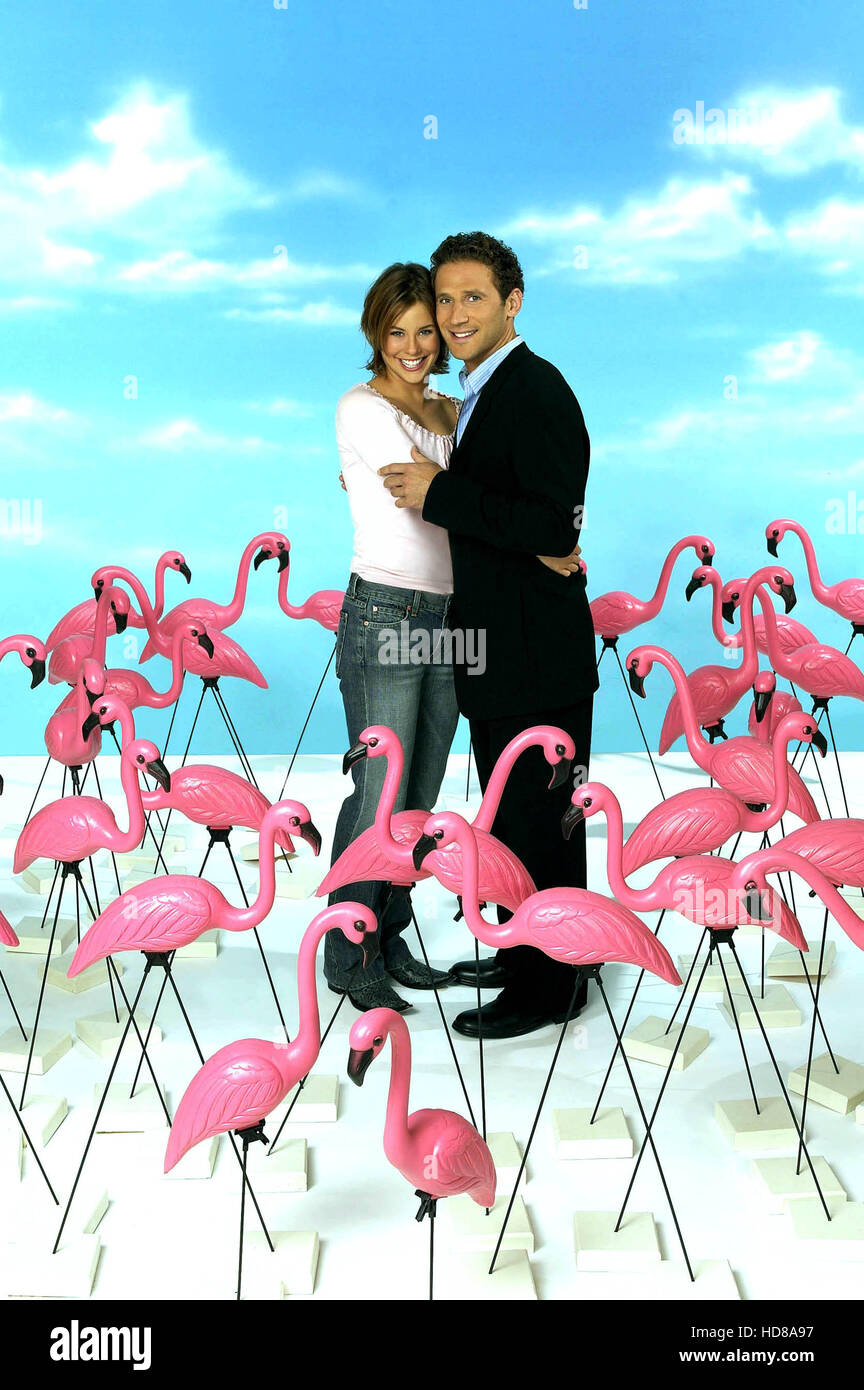 GOOD MORNING MIAMI, 2002, Ashley Williams, Mark Feuerstein Stock Photo ...