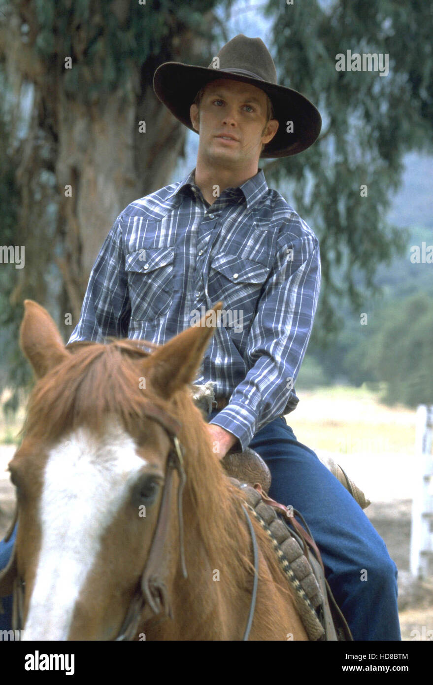 HOPE RANCH, Brian Gross, 2002 Stock Photo - Alamy