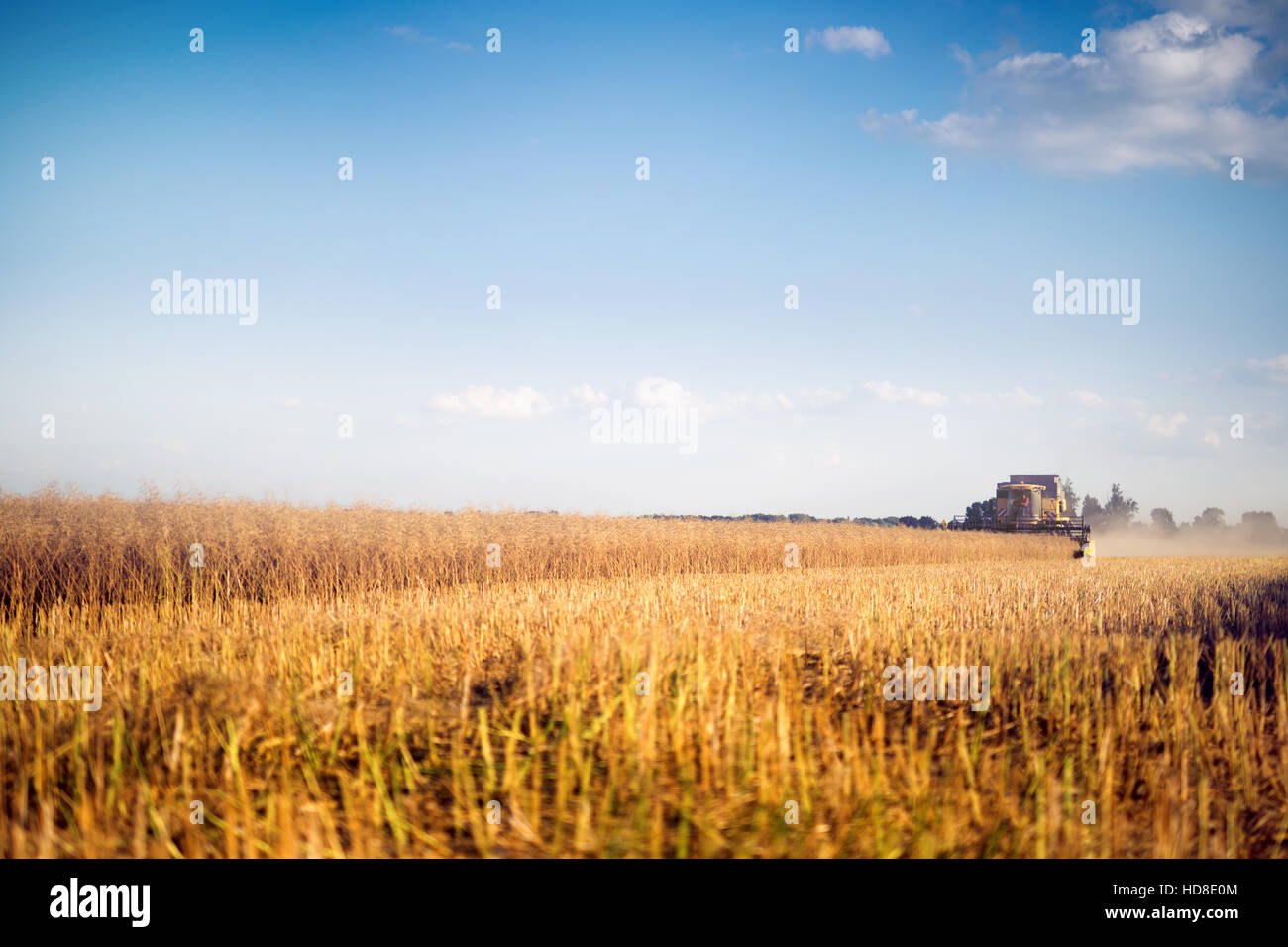 Agriculture machine harvesting crop in fields Stock Photo - Alamy