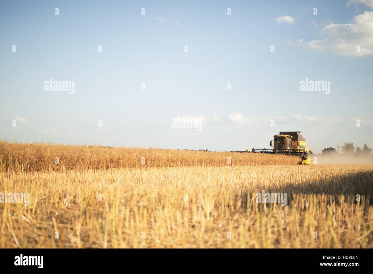 Agriculture machine harvesting crop in hi-res stock photography and ...