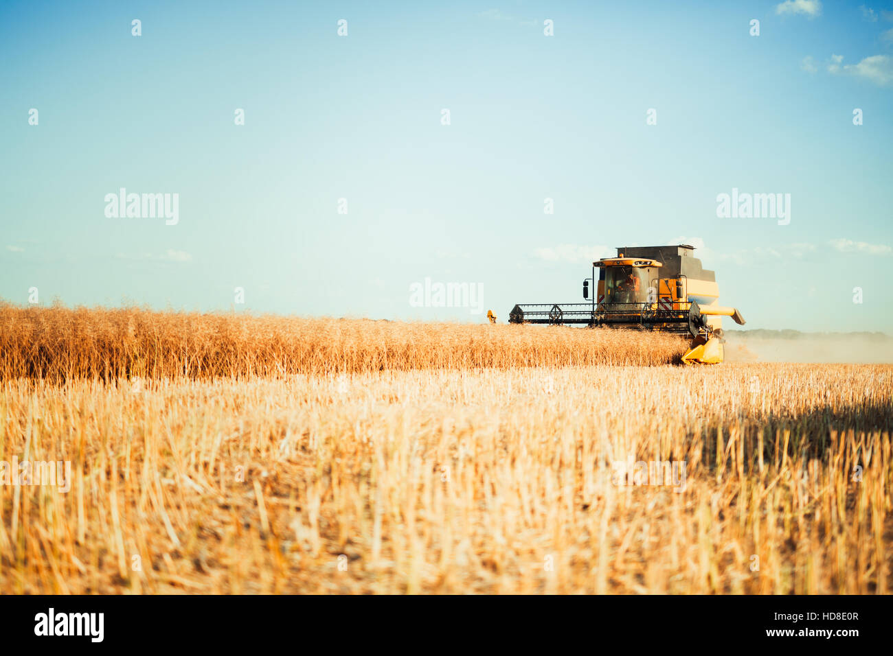 Agriculture machine harvesting crop in fields Stock Photo - Alamy