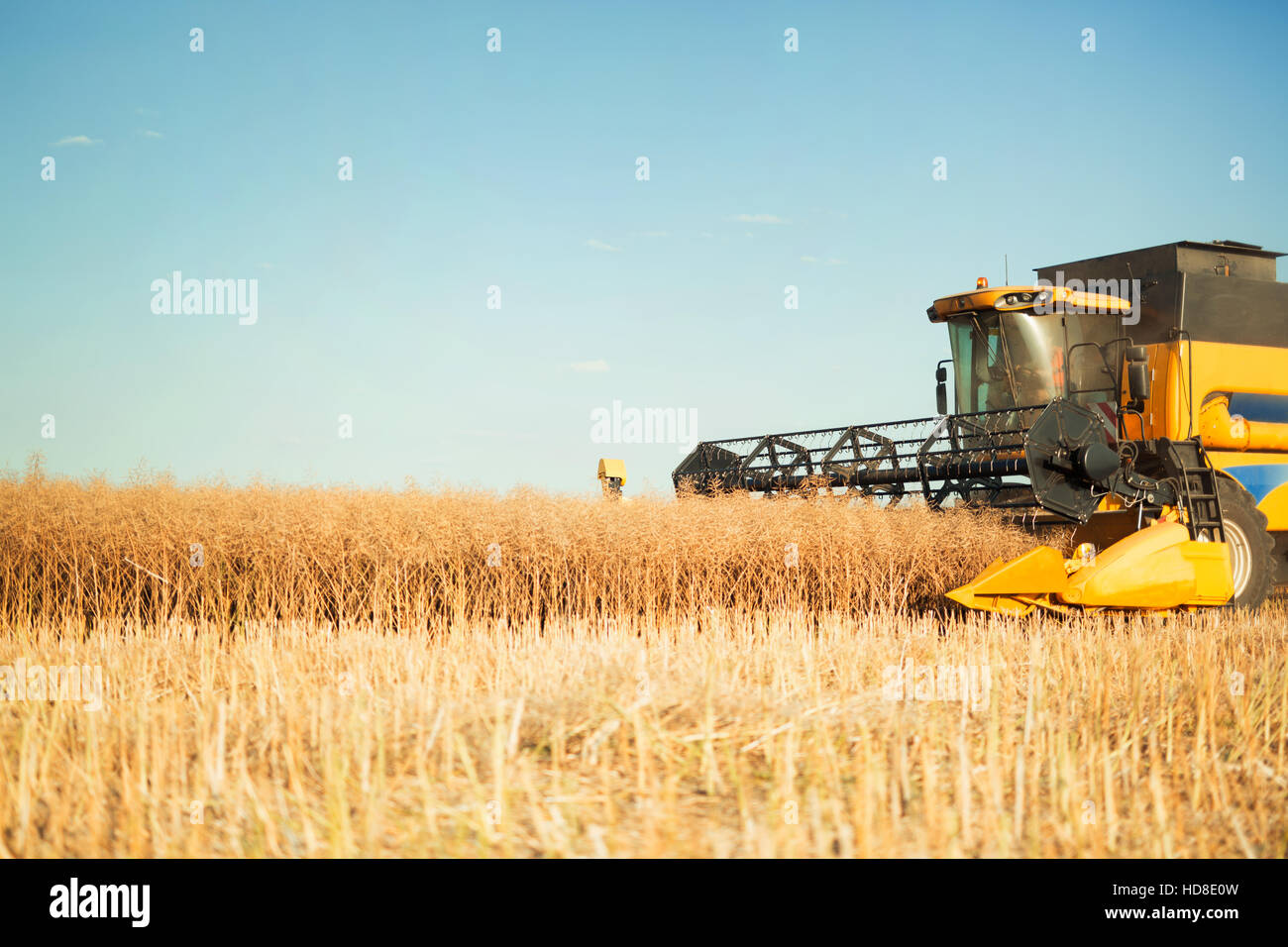 Agriculture machine harvesting crop in fields Stock Photo - Alamy